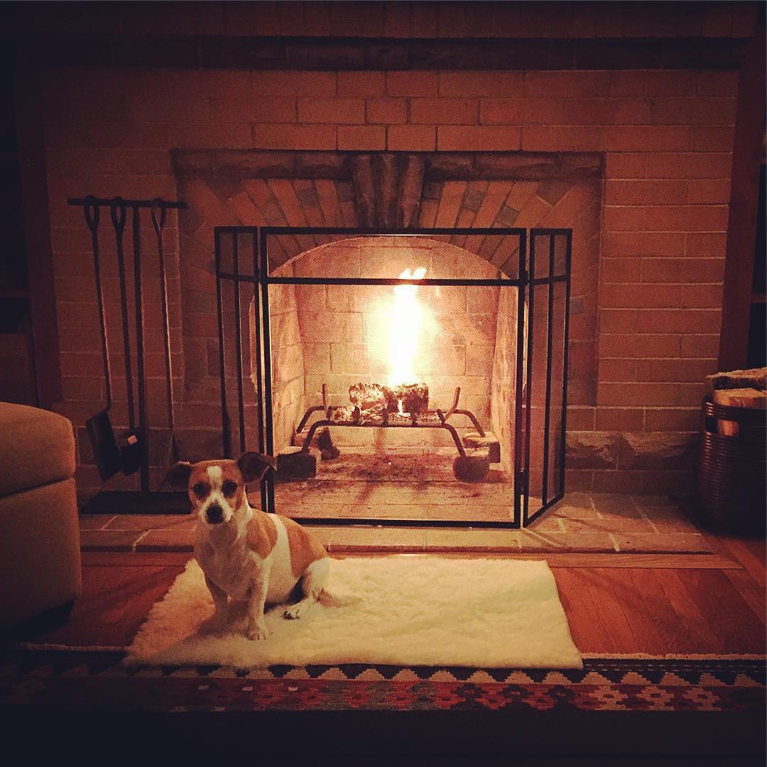 Enjoying the first fire in the house
